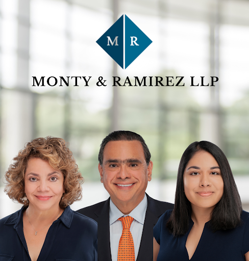 Different Types of Employment Visas in Houston | Work Visa Options